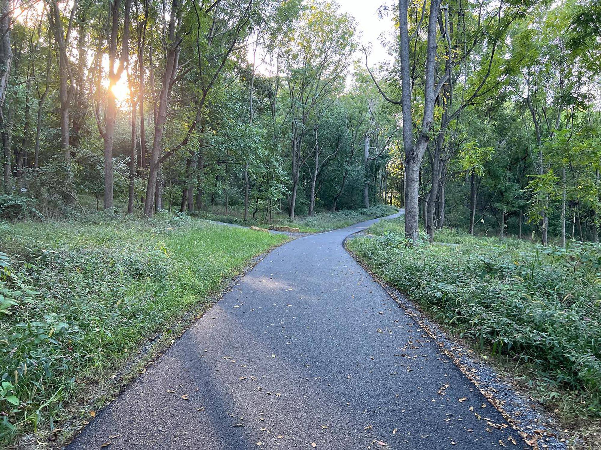 Monteverde Engineering & Design Studio