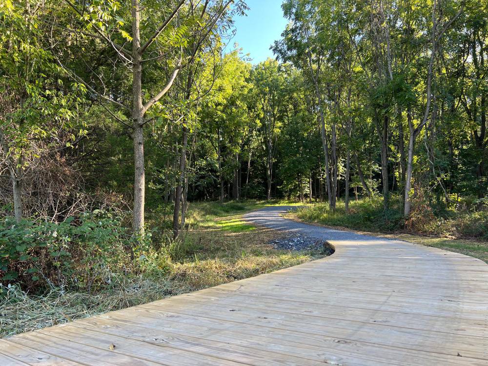 Monteverde Engineering & Design Studio